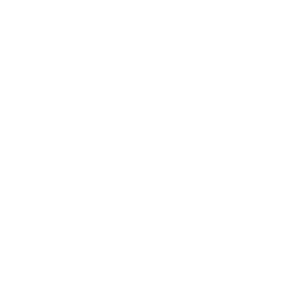 HALOBLK-Premium Tesla Accessories – HALOBLK Store